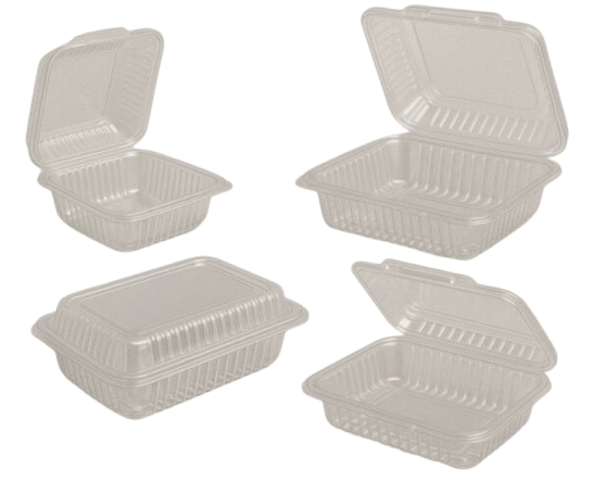 Plastic Hinged Container - NVR Wholesale